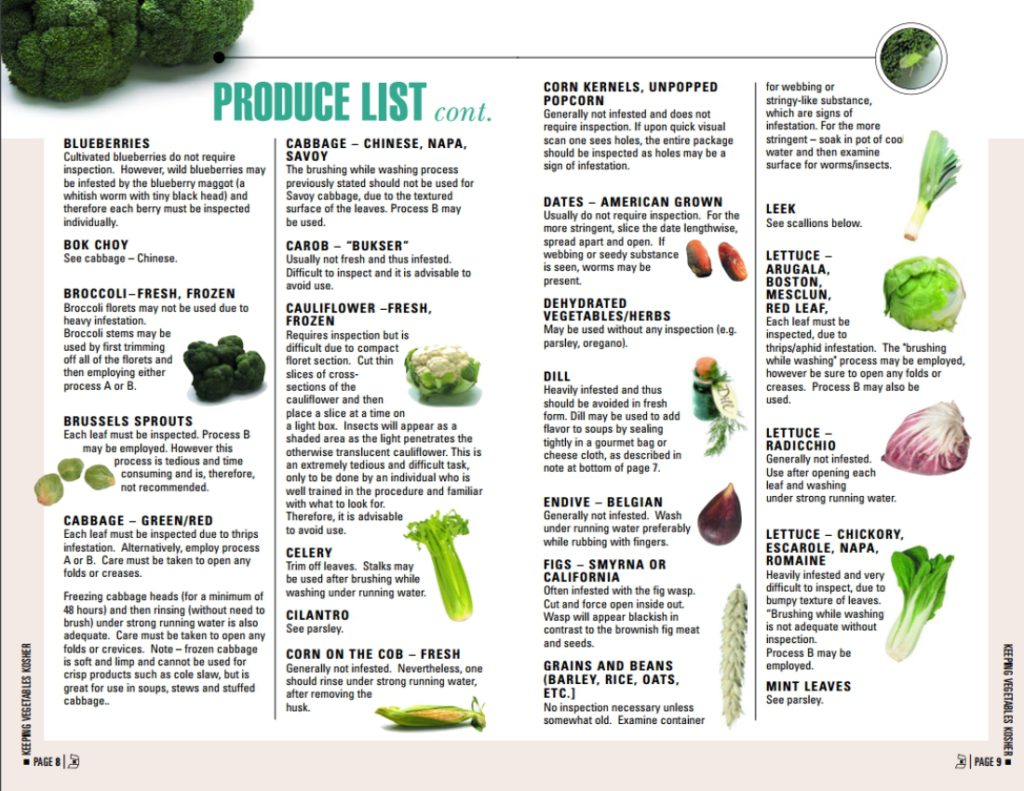How to Check Vegetables for Bugs - Between Carpools