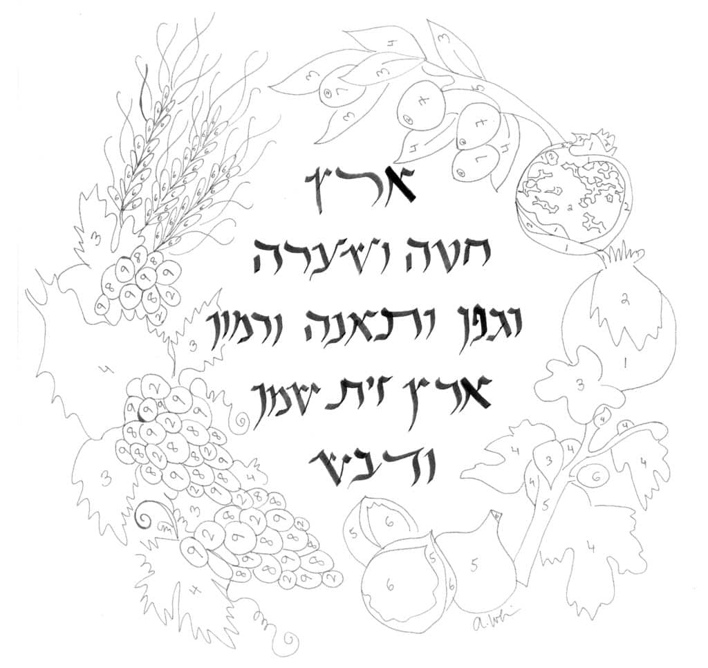 Free Download! Tu B'Shvat Paint-By-Number Pages - Between Carpools