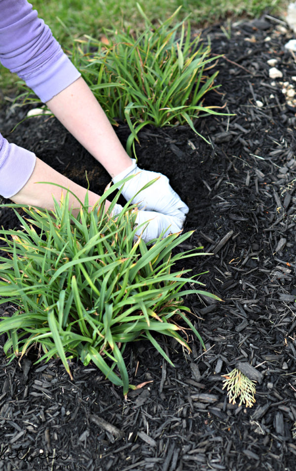 The Best Way to Upgrade the Look of Your Home? Add a Pop of Summer ...