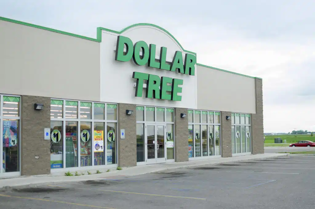 Here Are Our Six Top Dollar Tree Finds - Between Carpools