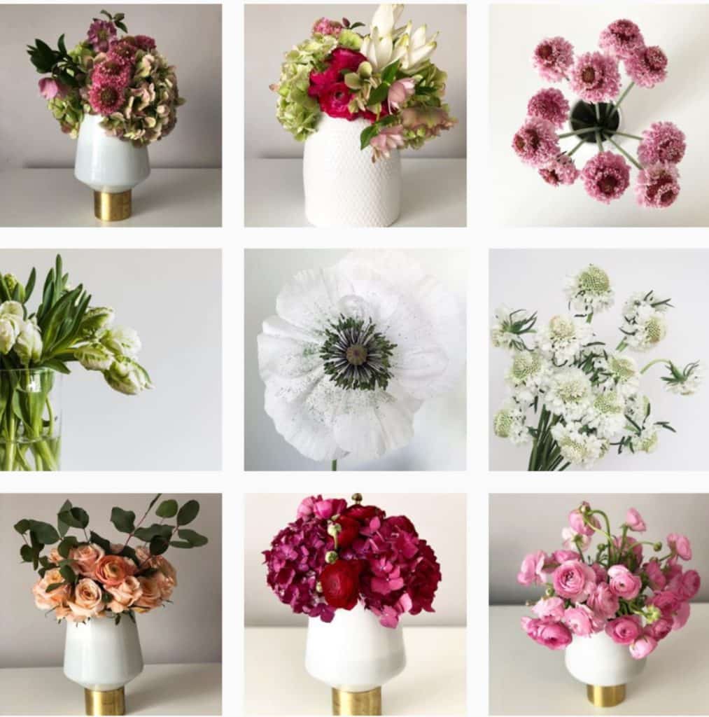 12+ Tips for Keeping Your Flowers Fresh and Beautiful - Between Carpools