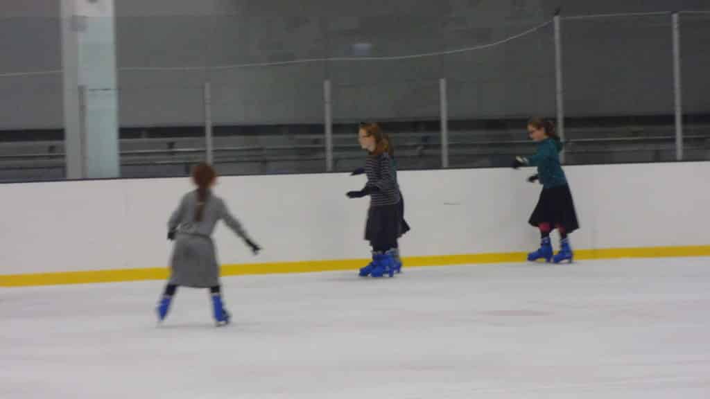 What to Do at Palisades Mall (There’s Tons!) - Between Carpools