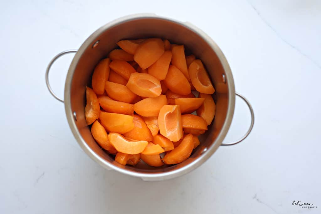 Taste It and You’ll Love It: Refreshing Apricot Compote - Between Carpools