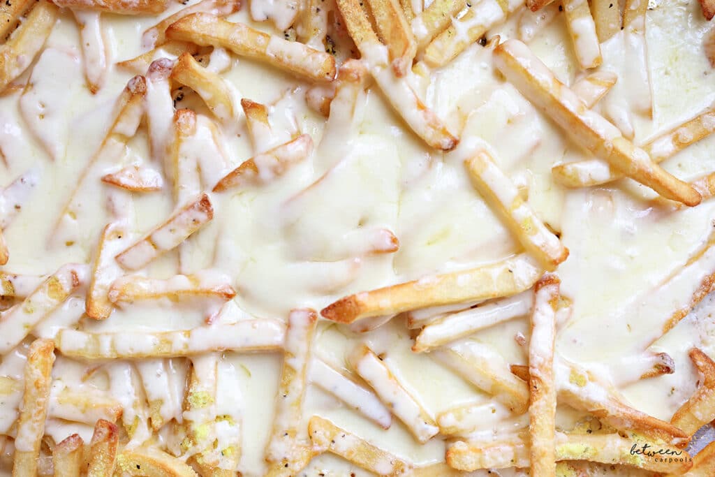Cheesy Fries for Motzei Shabbos from the Really Fun-to-Read Dira ...