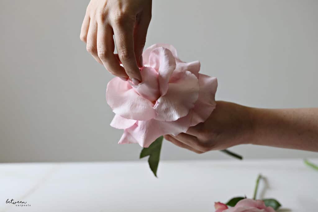 How to Turn Basic Roses from Beautiful to Breathtaking - Between Carpools