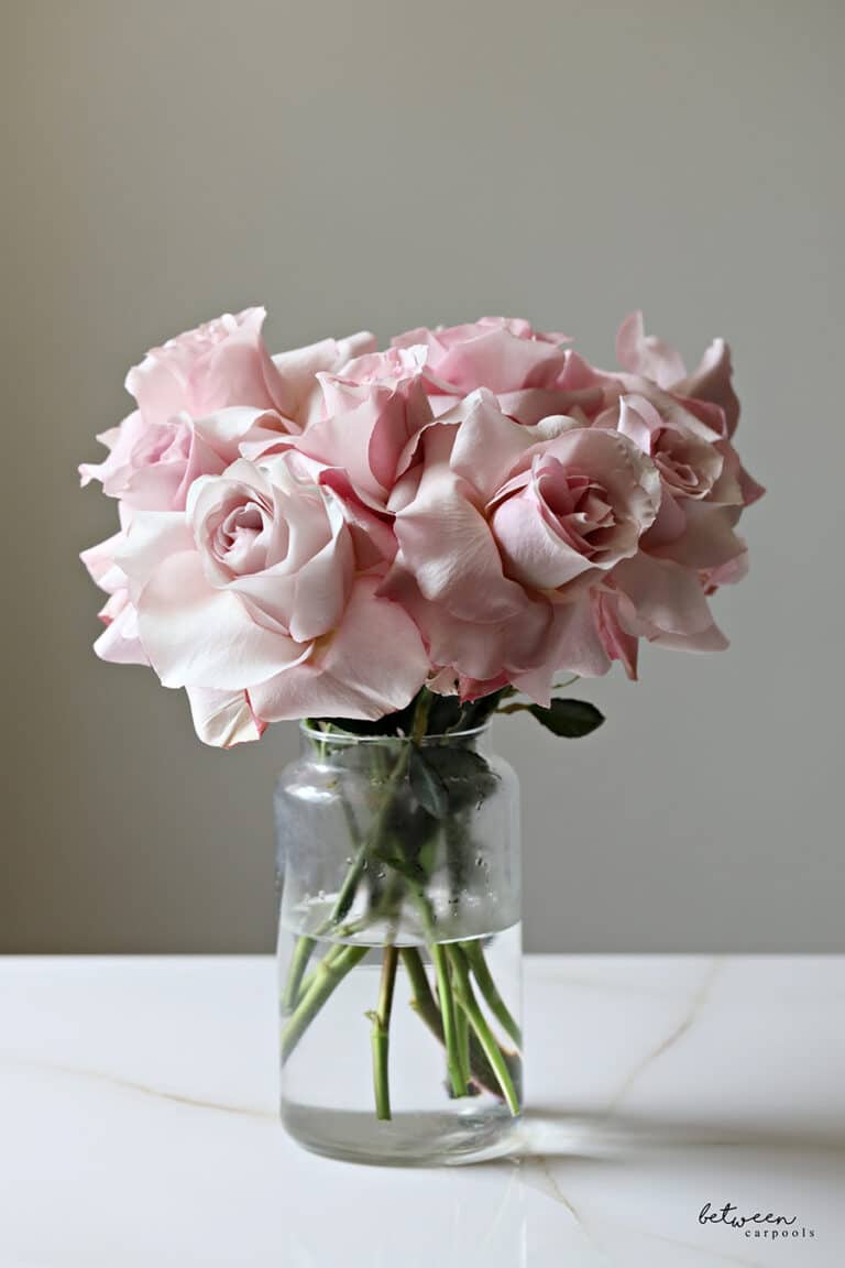 How to Turn Basic Roses from Beautiful to Breathtaking - Between Carpools
