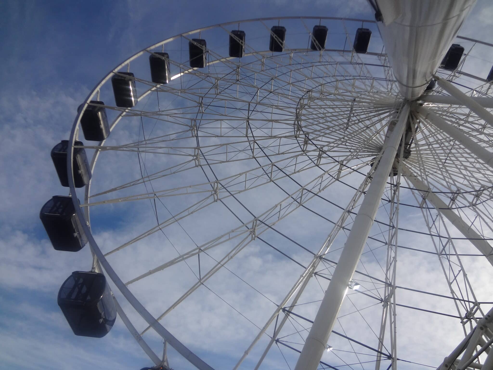 What to Do At American Dream - Between Carpools