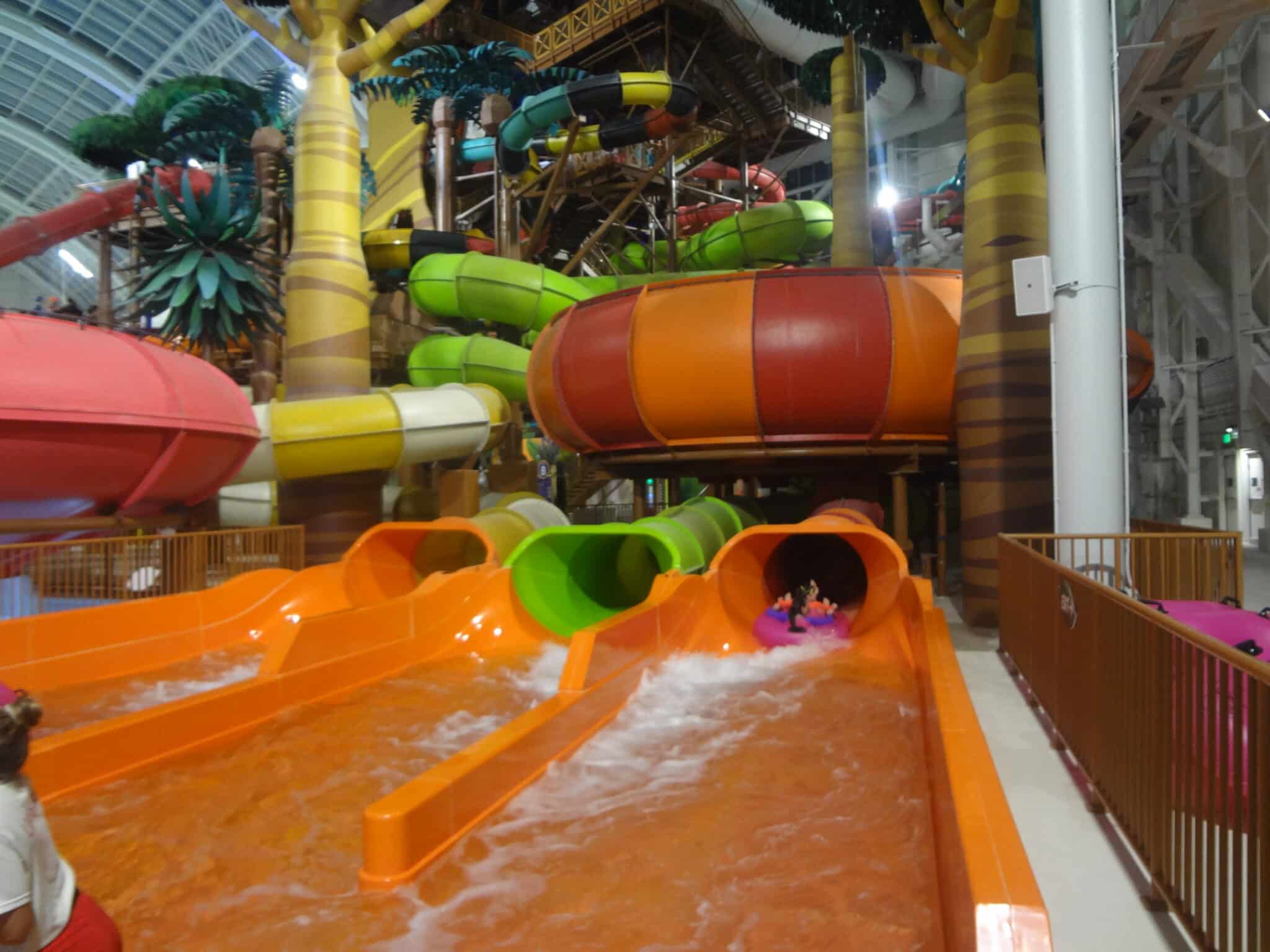 What to Do At American Dream - Between Carpools