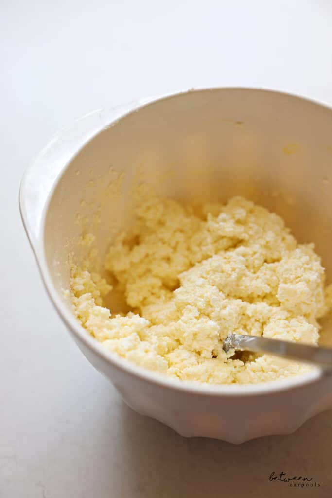 Basics: Cheese Kreplach - Between Carpools