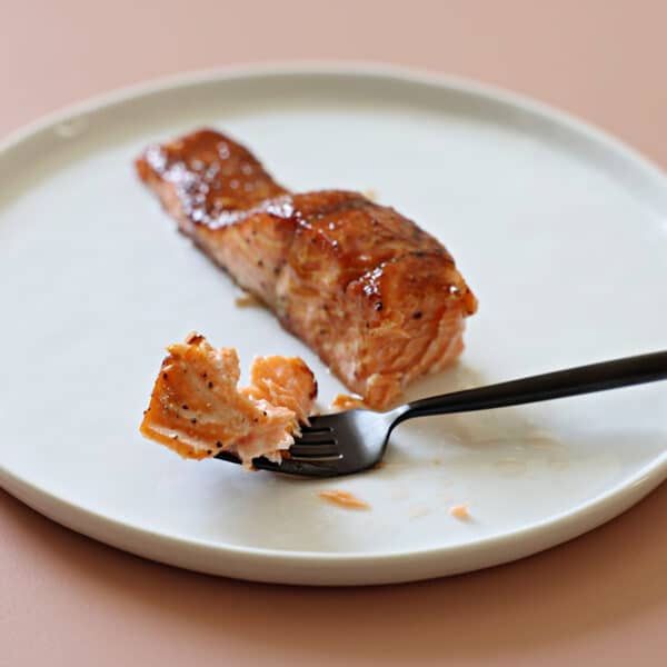 Plastic Spoon Salmon - Between Carpools