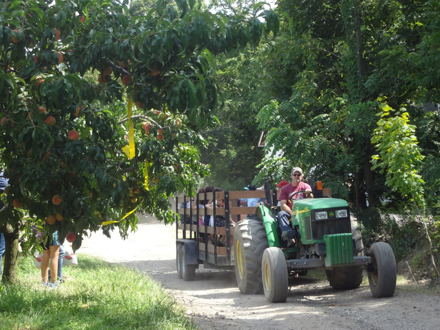 Where to Go & What to Do in Monsey, New York - Between Carpools