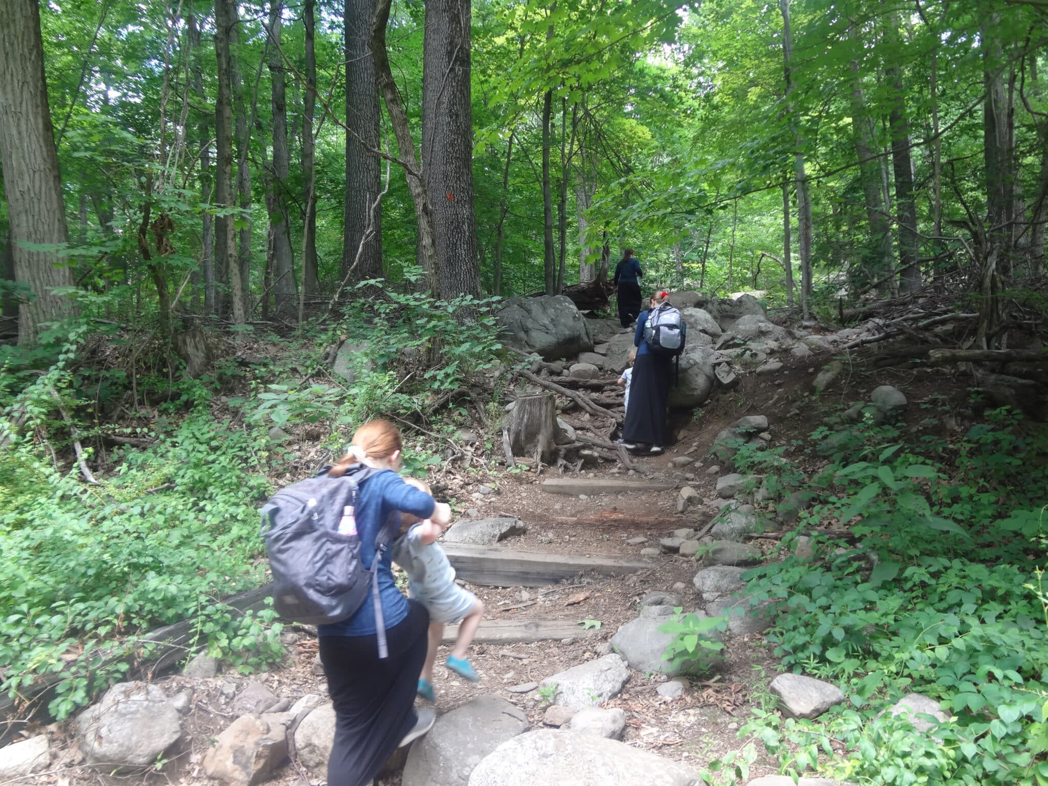 Where to Go & What to Do in Monsey, New York - Between Carpools