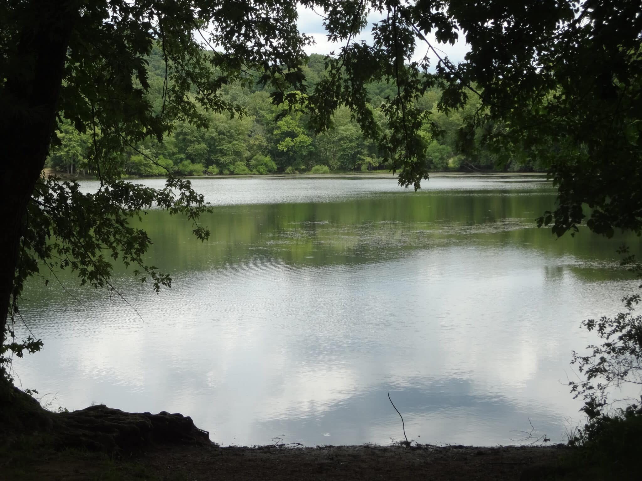 Where to Go & What to Do in Monsey, New York - Between Carpools