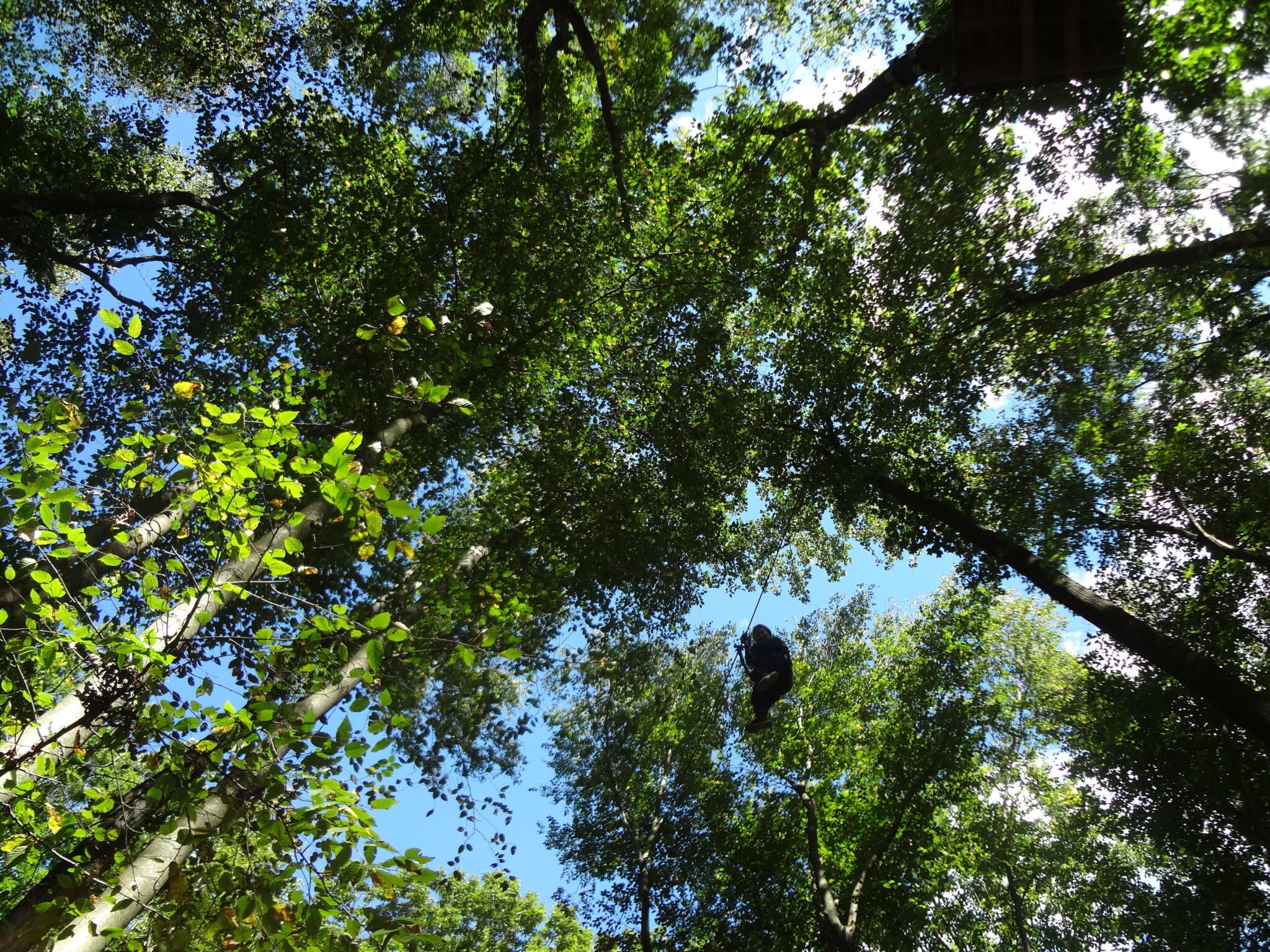 Waterfalls, Zip Lines, and More: 6 Chol Hamoed Ideas - Between Carpools