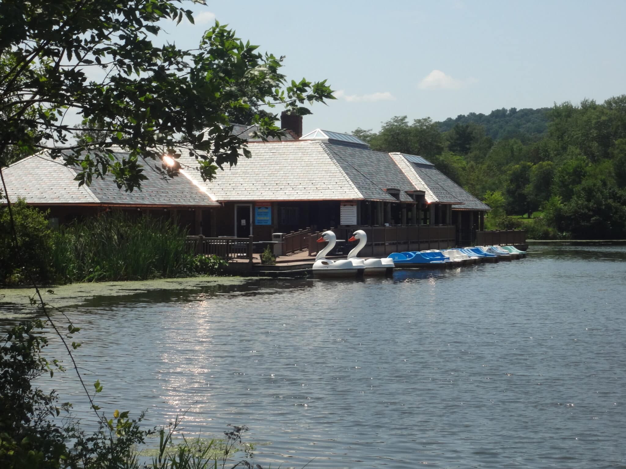 Waterfalls, Zip Lines, and More: 6 Chol Hamoed Ideas - Between Carpools