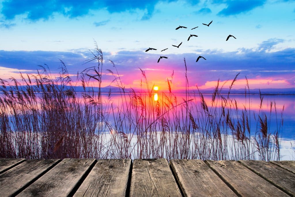 What Colors are Most Flattering for You? - Between Carpools