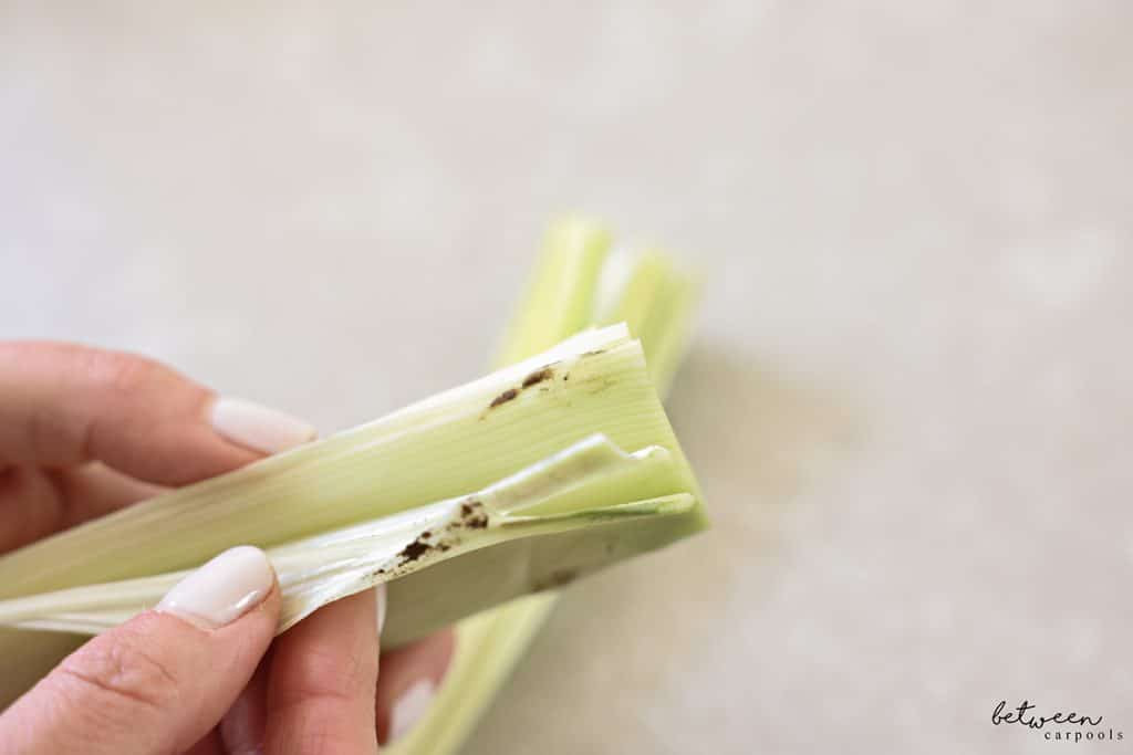 Pomegranate Leek Relish for Your Rosh Hashanah Simanim - Between Carpools